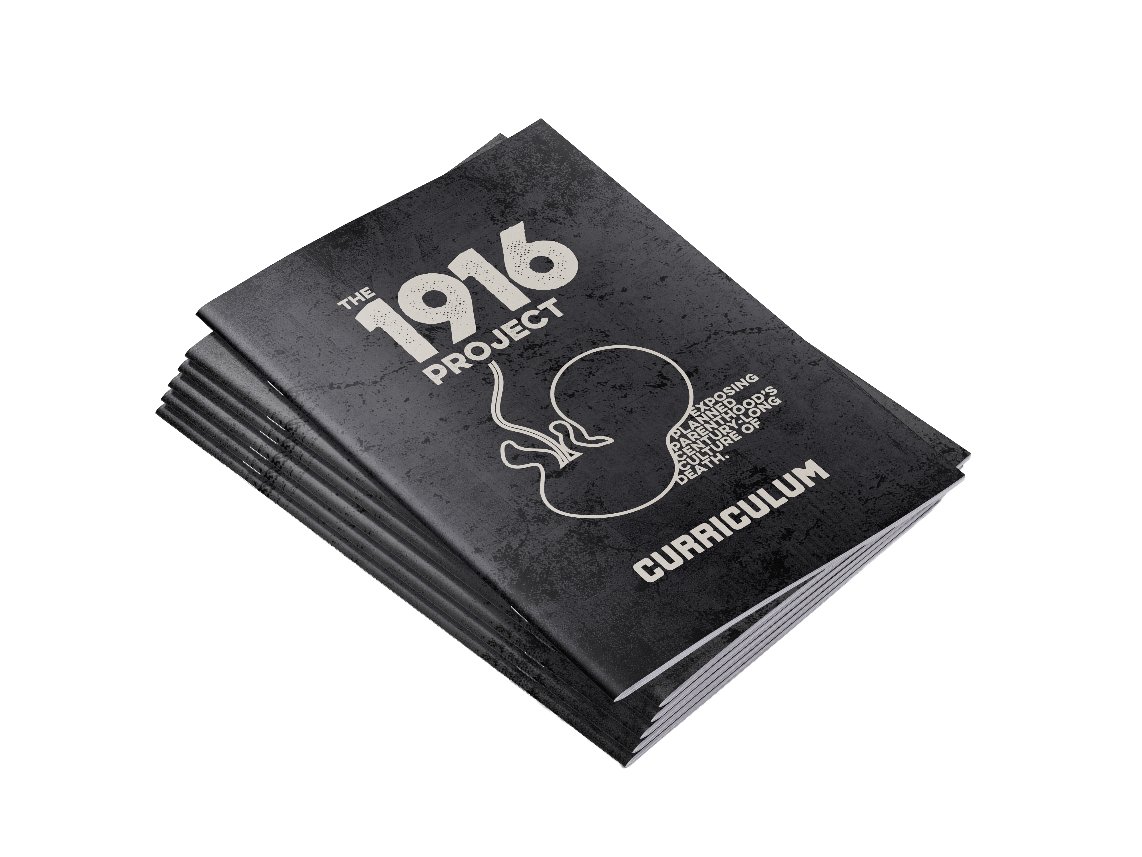 1916 Project Curriculum – White Rose Resistance
